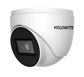 HOLOWITS